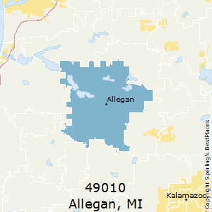 Allegan (zip 49010), MI