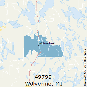 Best Places to Live in Wolverine (zip 49799), Michigan