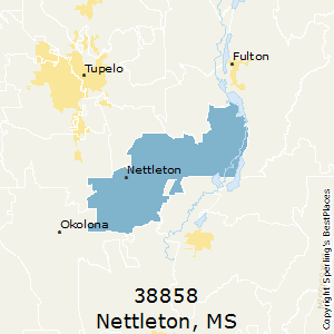 Nettleton (zip 38858), MS