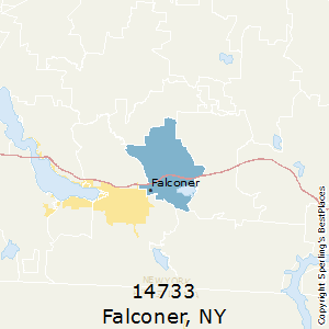 Falconer (zip 14733), New York People