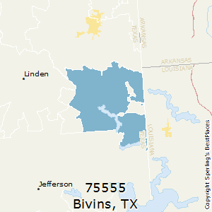 Best Places to Live in Bivins (zip 75555), Texas
