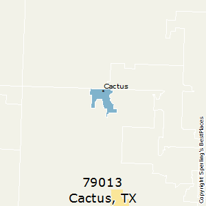 Best Places to Live in Cactus (zip 79013), Texas